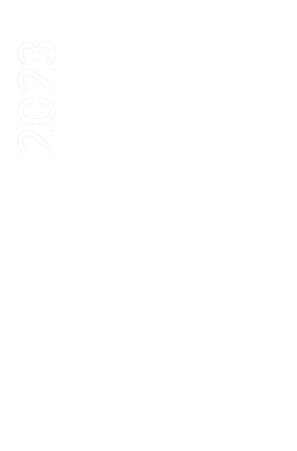 Risk Management - Vantage Technologies